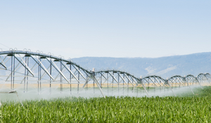 Anitox | Security Through Science